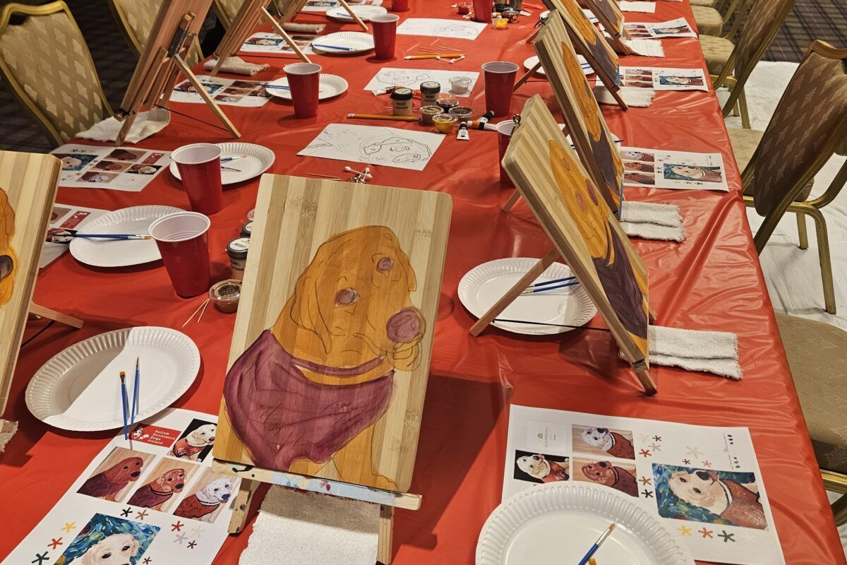 AADI & McCarthy Insurance – Autism Assistance Dogs Ireland