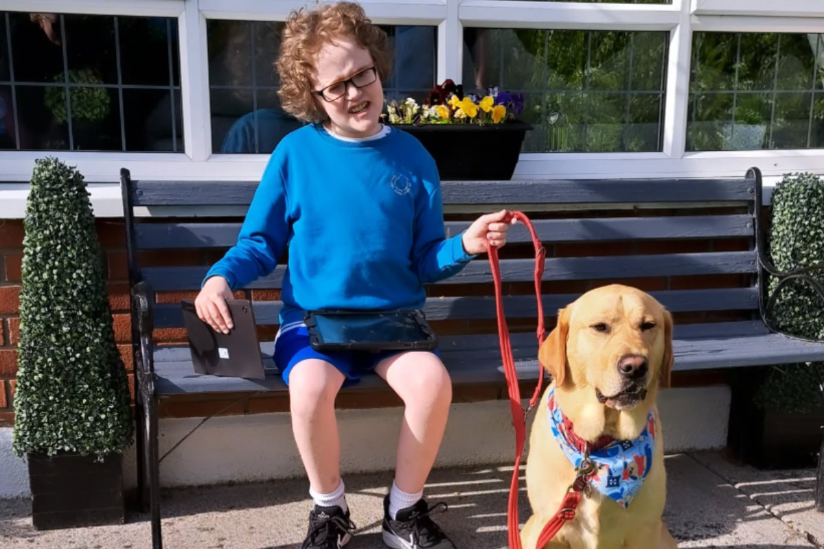 A New World for Noah – Autism Assistance Dogs Ireland