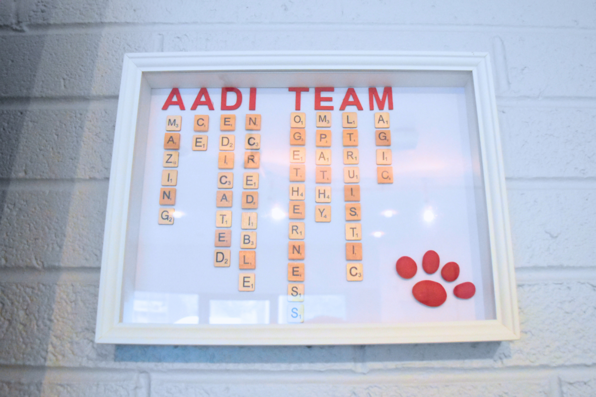 Volunteer – Autism Assistance Dogs Ireland