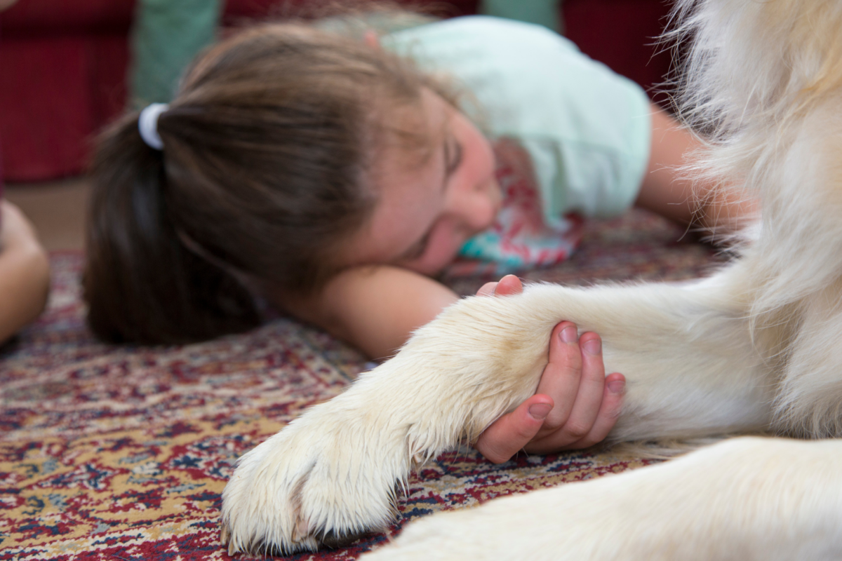Buddy Dogs – Autism Assistance Dogs Ireland