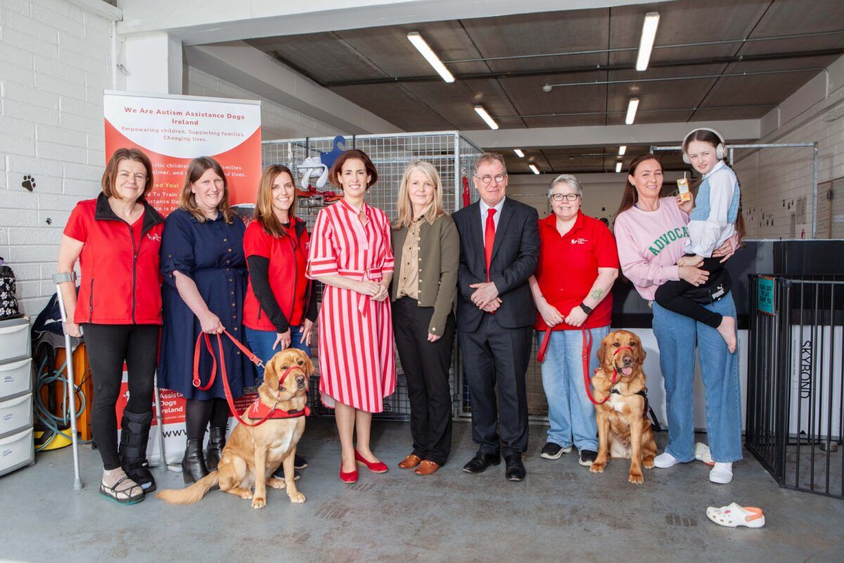 AADI’s School Support Dog Programme: Enhancing Educational Experiences ...