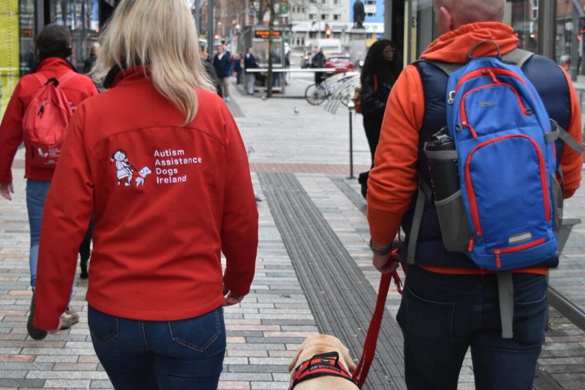 Action Over Promises: Autism Assistance Dogs Ireland Welcomes ...