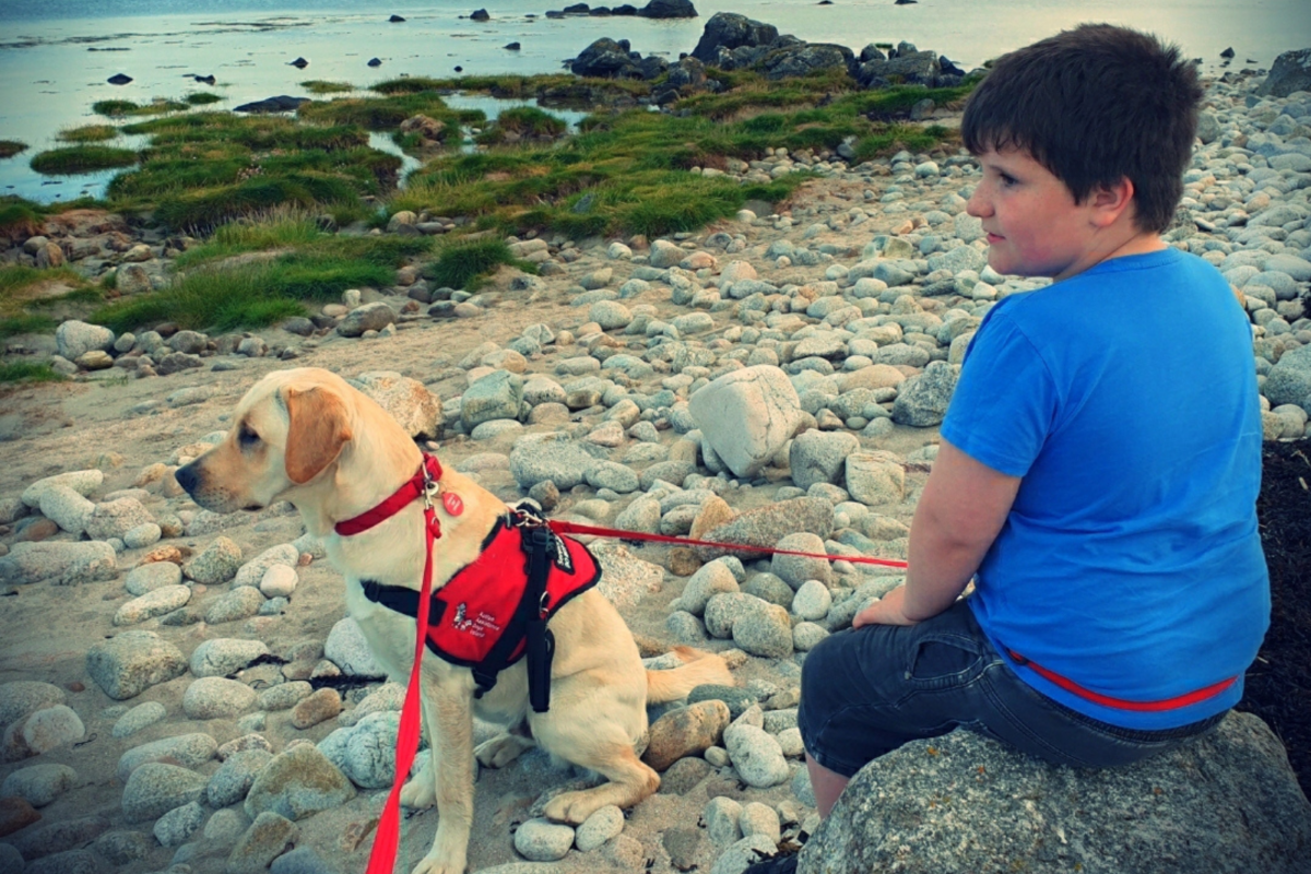 Joe and Irwin: A New Lease on Life – Autism Assistance Dogs Ireland