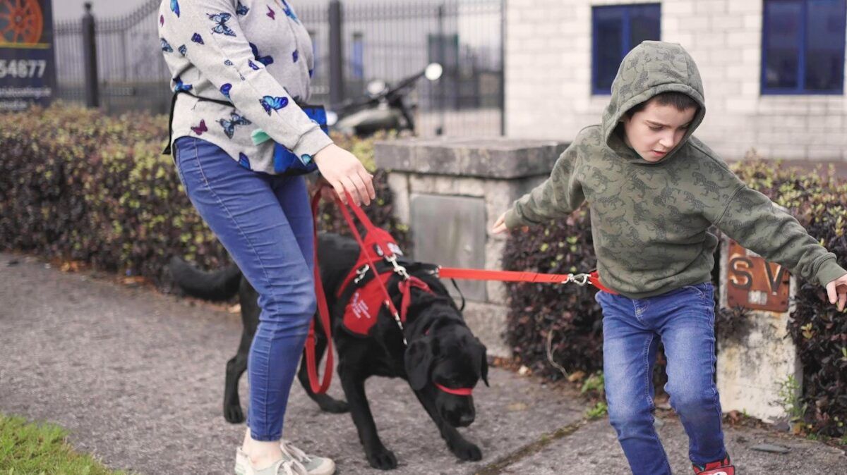 Autism Assistance Dogs Ireland Transforms Lives of Autistic Children and Their Families – Autism ...
