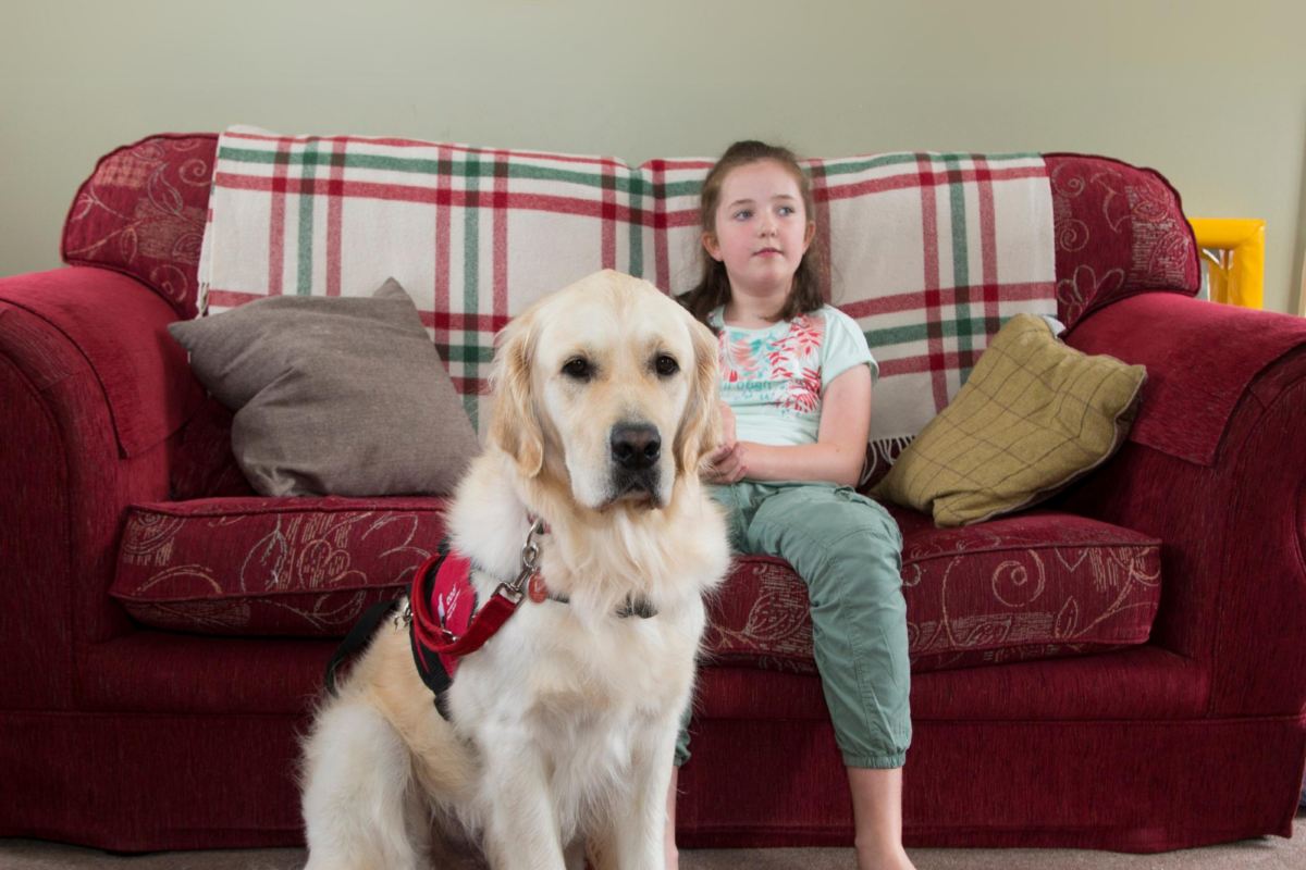Our Mission & Impact – Autism Assistance Dogs Ireland