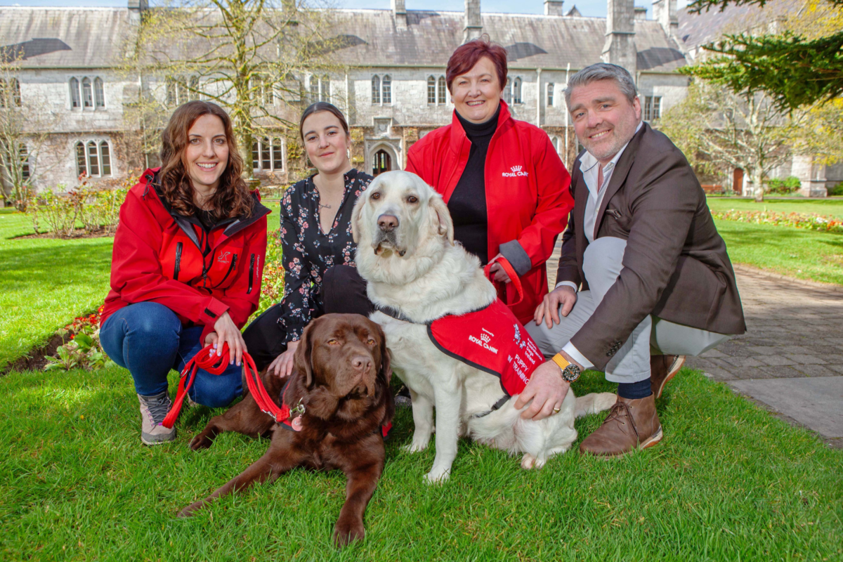 Educational Assistance Dogs – Autism Assistance Dogs Ireland