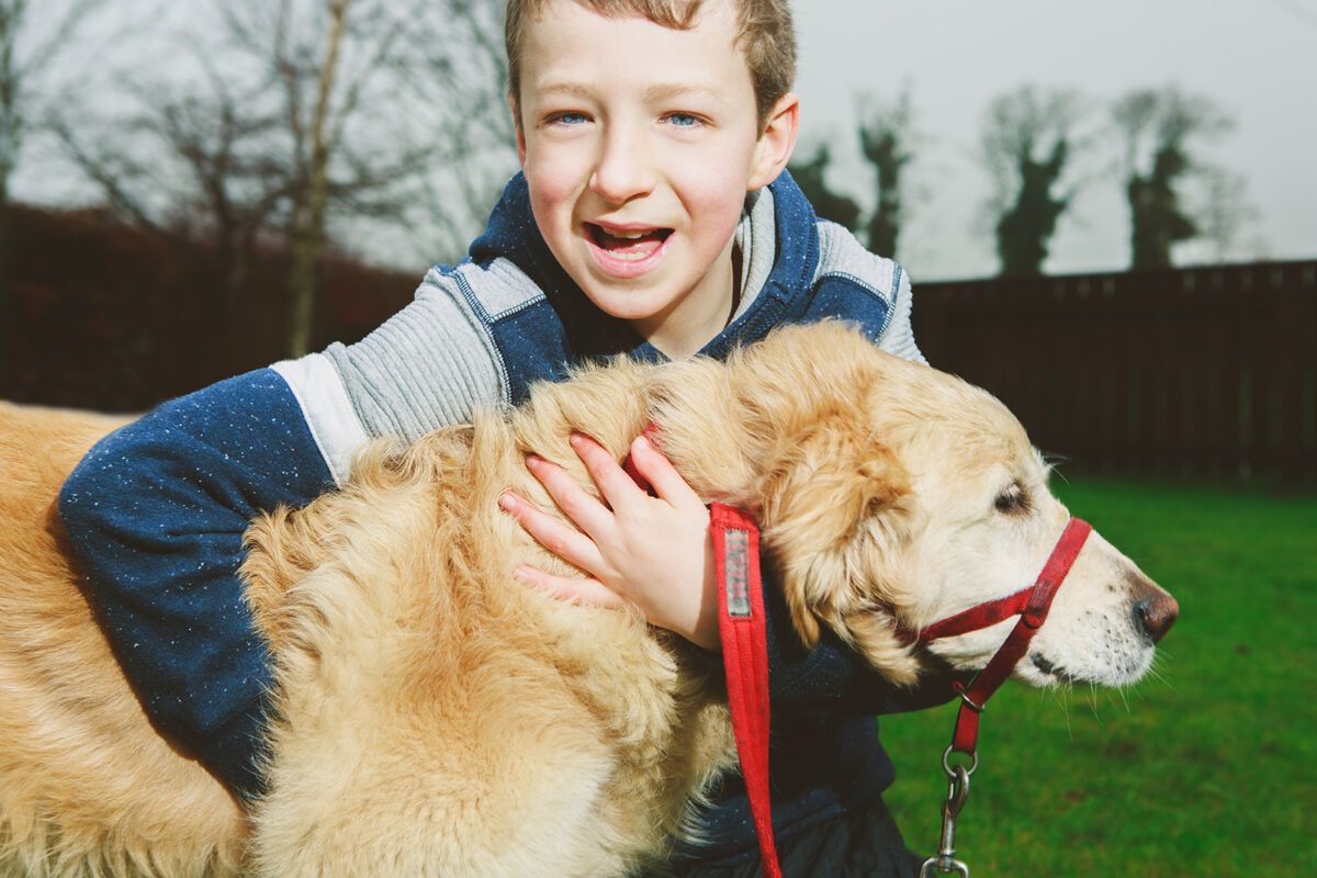 News – Autism Assistance Dogs Ireland