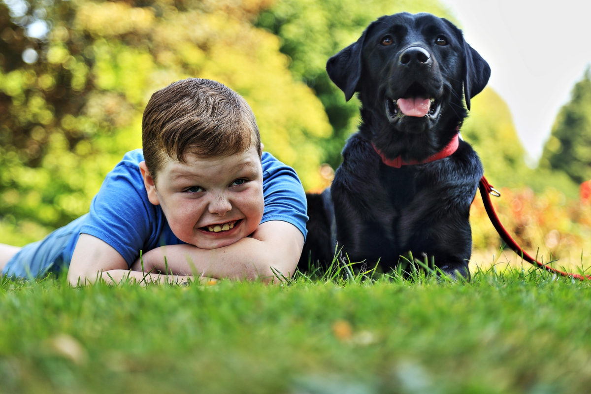 Our Mission & Impact – Autism Assistance Dogs Ireland