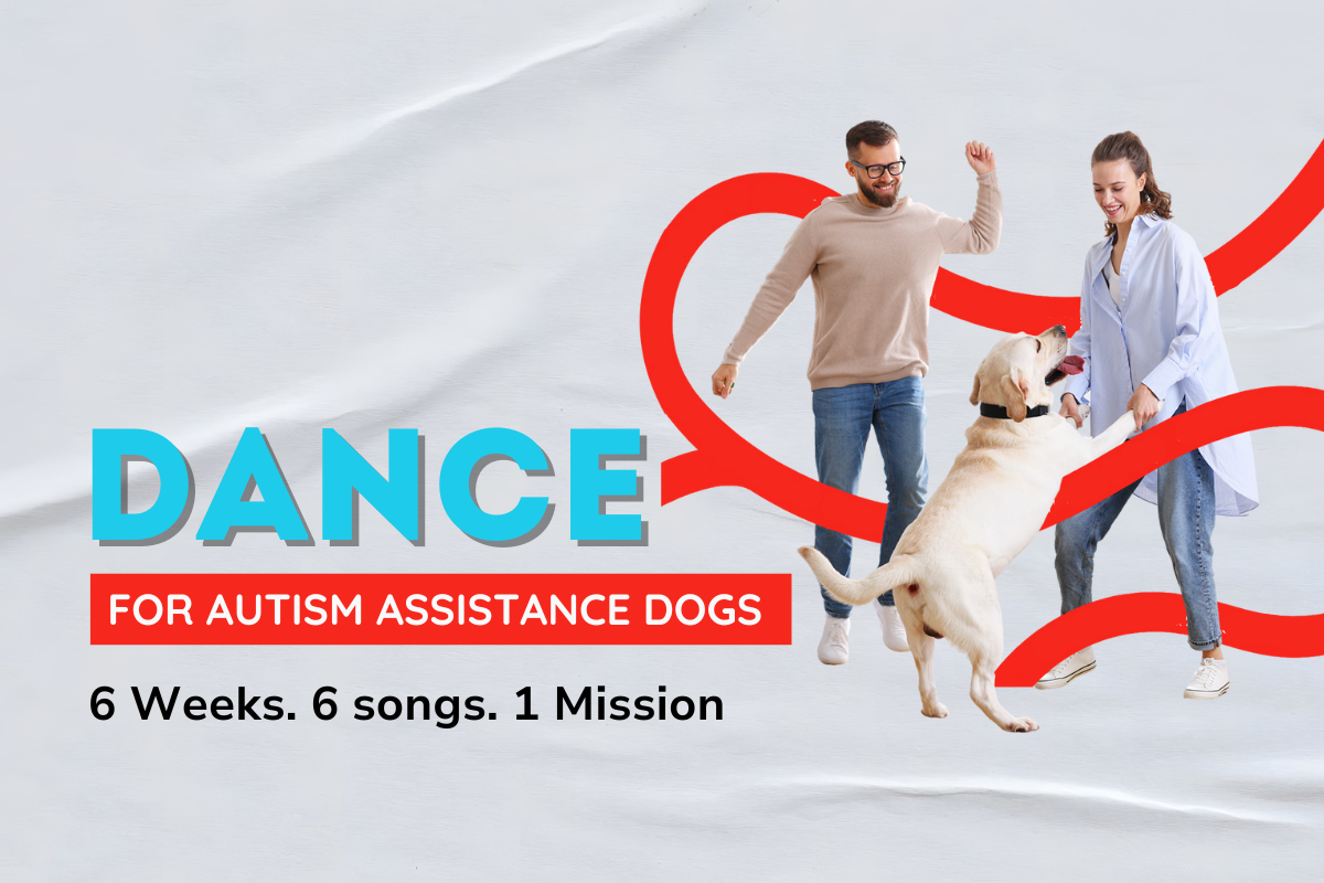 AADI Launches National Dance Campaign to Support Autistic Children – Autism Assistance Dogs Ireland